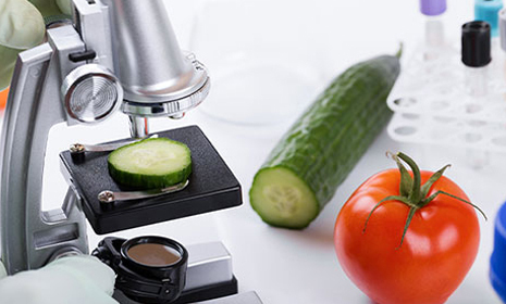 Food Safety Rapid Test: FRENOVO